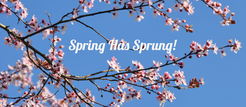 Blog post: Spring Has Sprung by posterteam.com